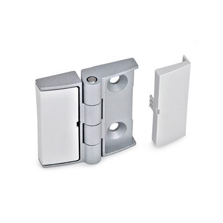 Hinges GN 238 | JW Winco