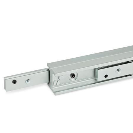 GN 2408 Steel Telescopic Linear Slides, with Full Extension, with Rails ...
