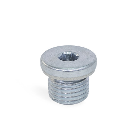 Threaded Plugs DIN 908 | JW Winco