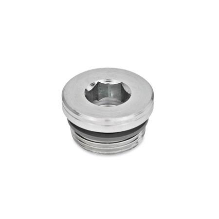 Threaded Plugs GN 749 | JW Winco