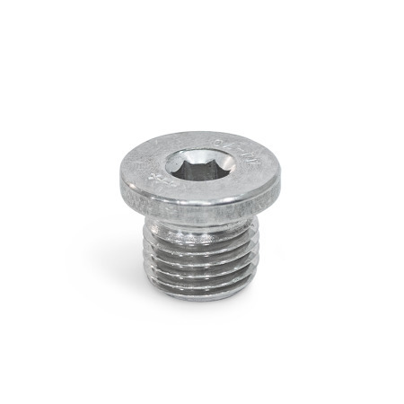 Threaded Plugs DIN 908 | JW Winco