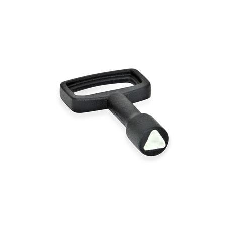 Socket Keys GN 119.2 | JW Winco