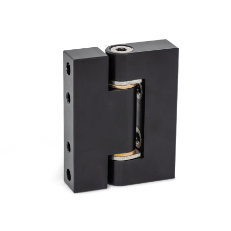 Precision Hinges GN 7580 | JW Winco