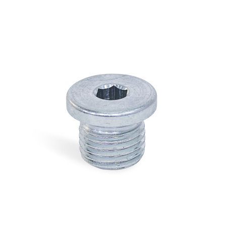 Threaded Plugs DIN 908 | JW Winco