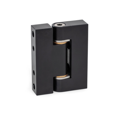 Precision Hinges GN 7580 | JW Winco