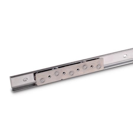 GN 1490 Stainless Steel Cam Roller Linear Guide Rail Systems, Formed ...