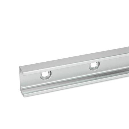 Cam Roller Linear Guide Rails GN 2422 | JW Winco