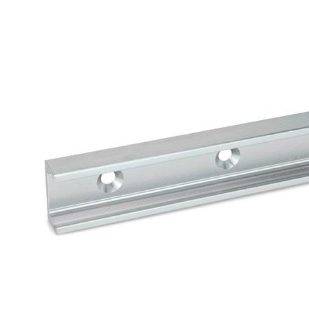 Cam Roller Linear Guide Rails GN 2422 | JW Winco