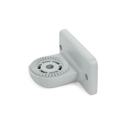 Swivel Clamp Connector Bases EN 272.9 | JW Winco