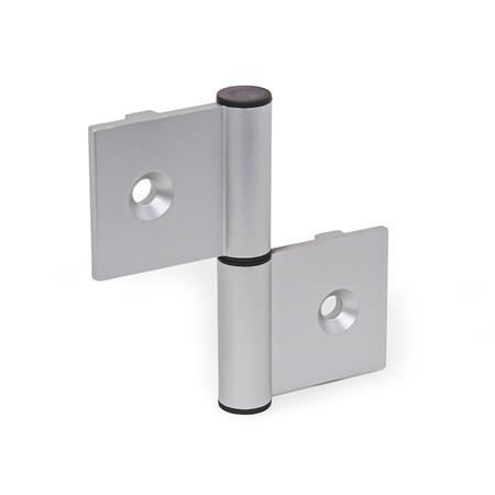 Double Leaf Lift-Off Hinges GN 2292 | JW Winco
