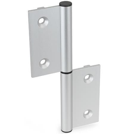 Bisagras desmontables con hoja doble GN 2292 | JW Winco