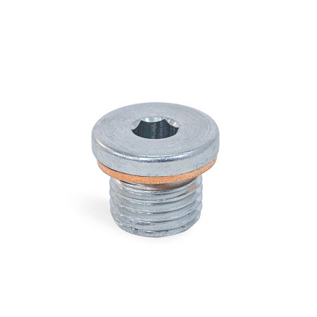 Threaded Plugs DIN 908 | JW Winco