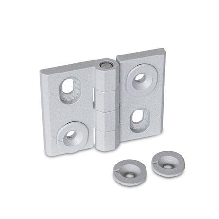 Hinges GN 127 | JW Winco