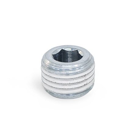 Threaded Plugs DIN 906 | JW Winco